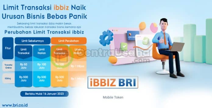 Cara Aktivasi dan Menggunakan iBBIZ Token newbiz bri co id